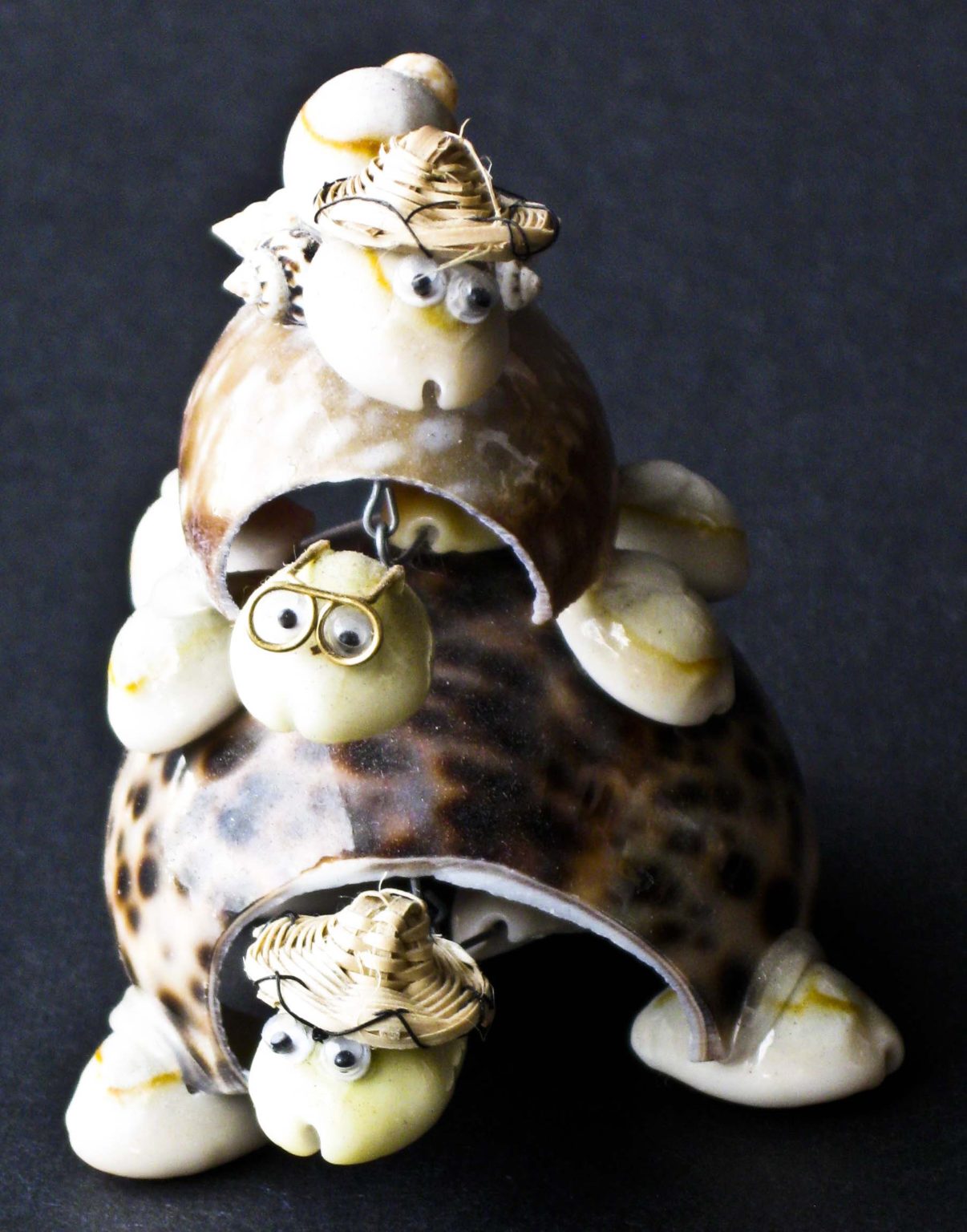 Exotic Shells Hawaii | Rainbow Craft Company | Cocojoe's